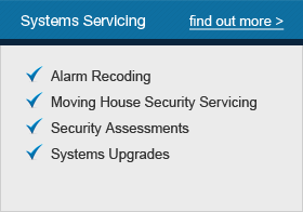 Systems Servicing – BlueCorp Security